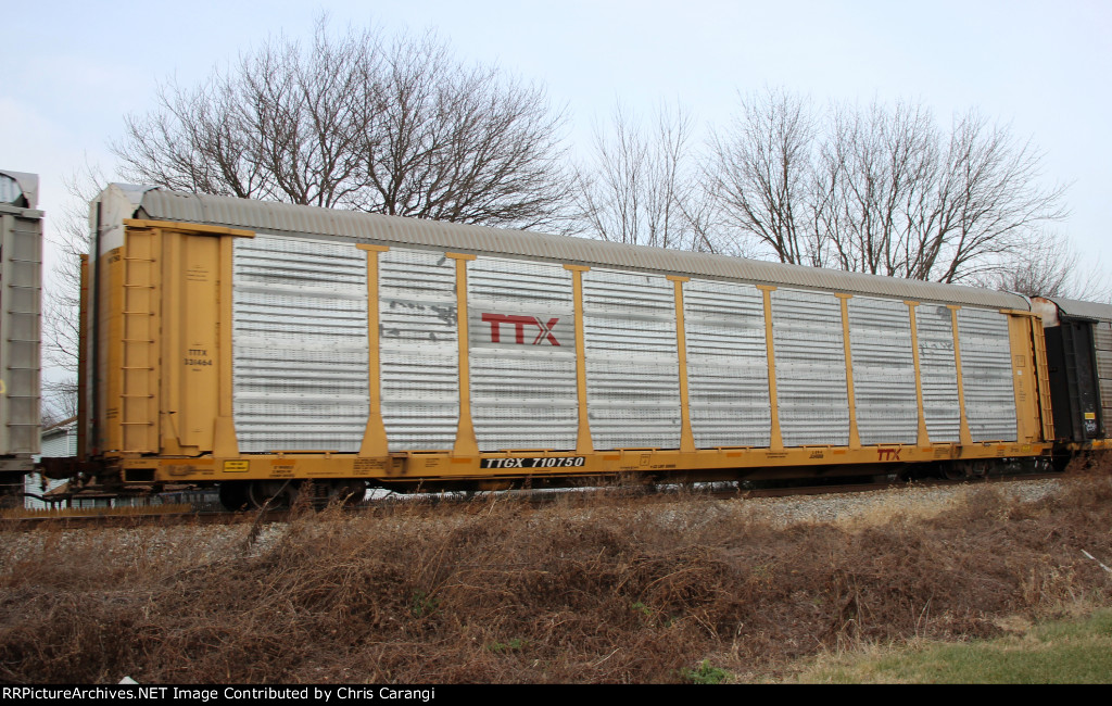 TTGX 710750